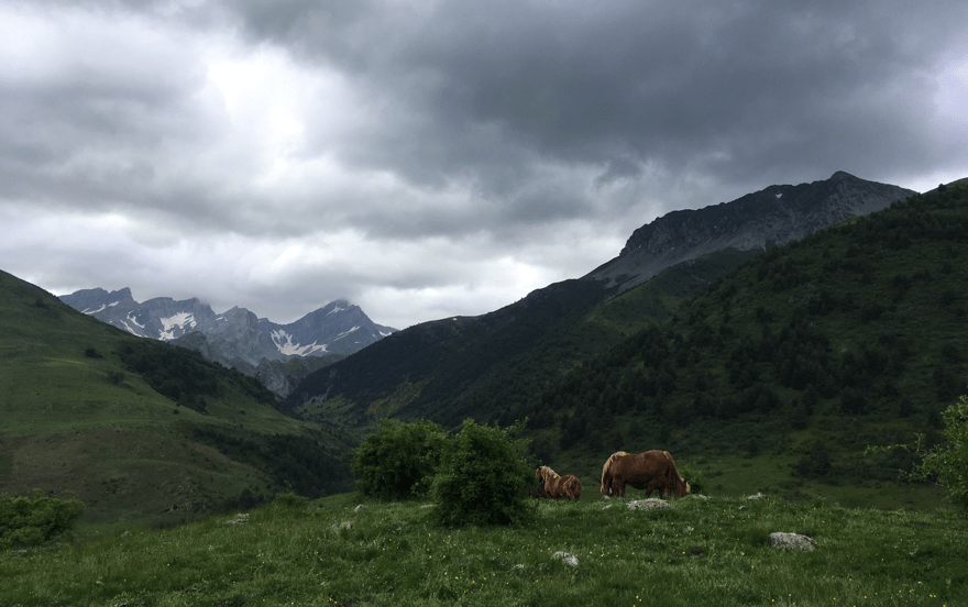 The Valle de Hecho and its Natural Park | Turismo Valle de Hecho